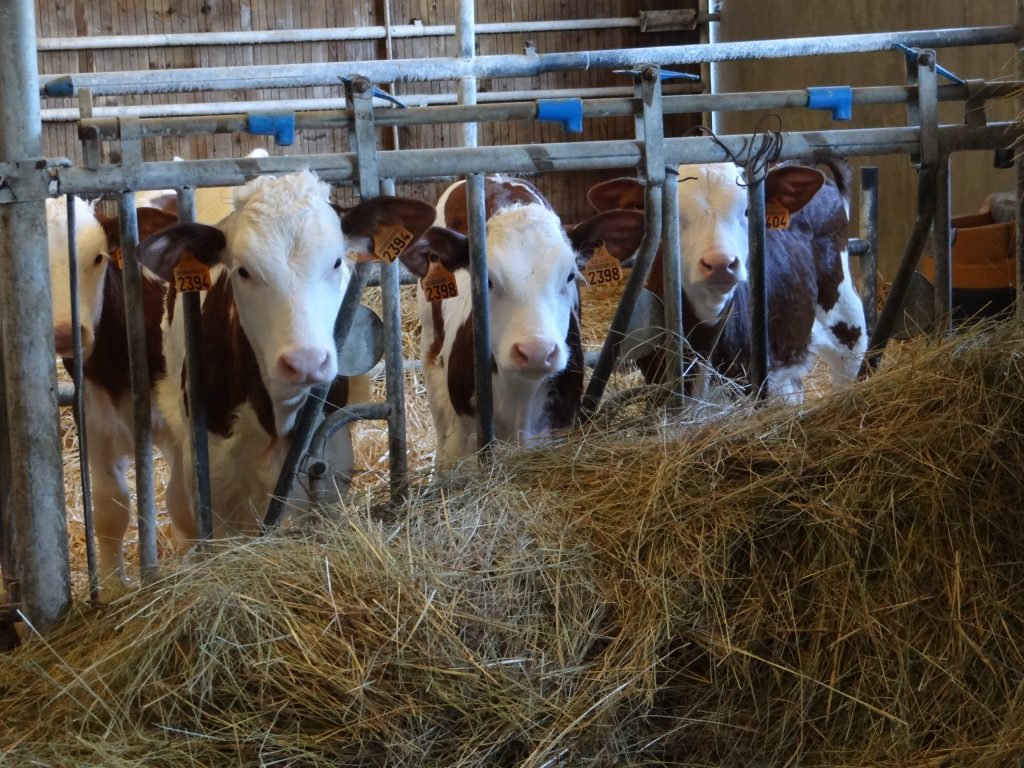 La ferme de servanges